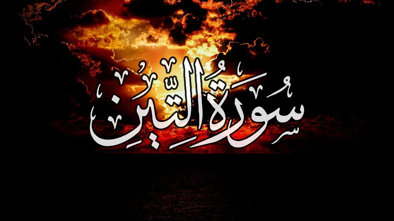 Surah At Tin with translation |Surat At Tin | Surah Wateen | Quran |The ...