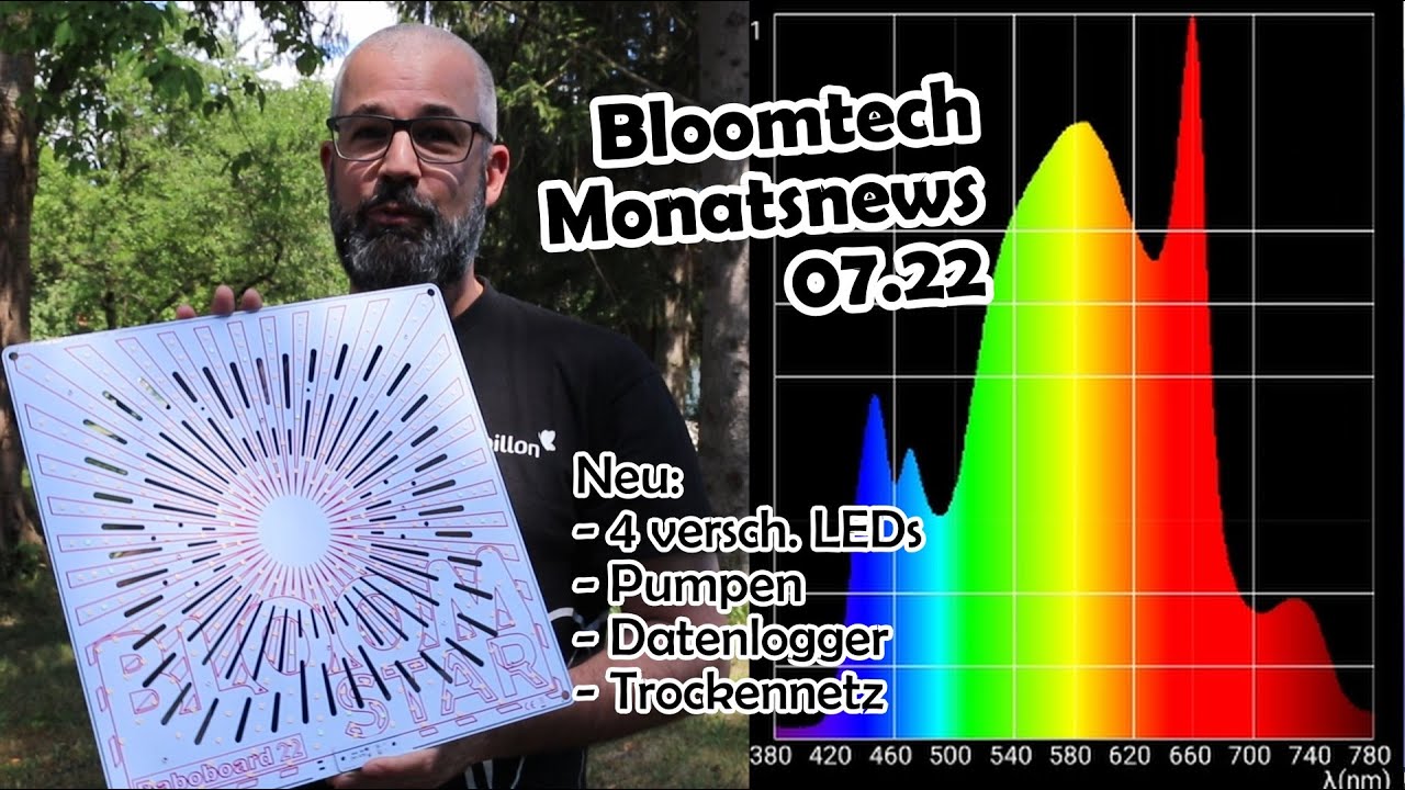 Bloomtech News Juli 2022 - YouTube