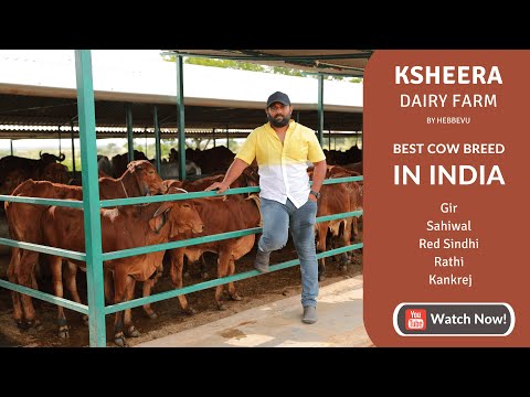 Hebbevu: Managed farmland near bangalore | farmland for sale