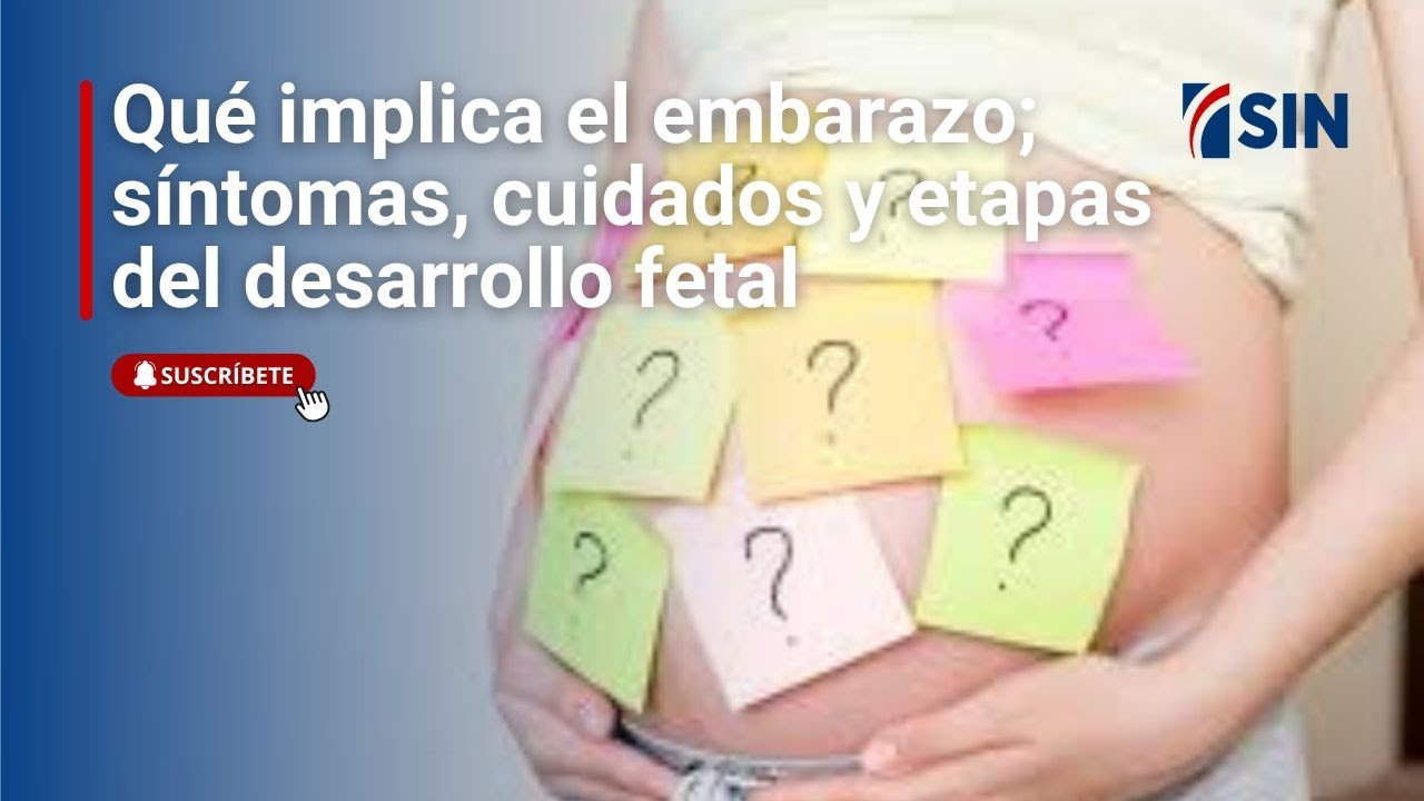 Qué implica el embarazo; síntomas, cuidados y etapas del desarrollo ...