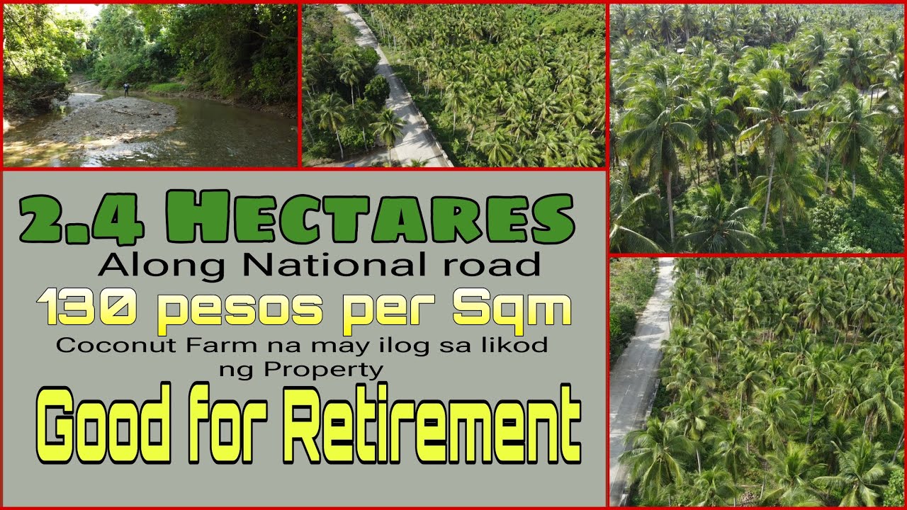 Lot #10 | Sold out‼️ Magandang farm land para sa retirement plan/ 2.4 ...