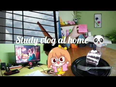 🐼Study block at home🐼 - YouTube