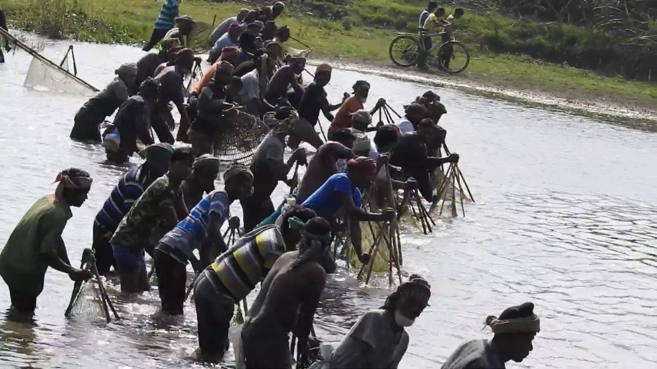 Unique Village Fishing In River | Best Techniques Ever For Fish Hunting ...