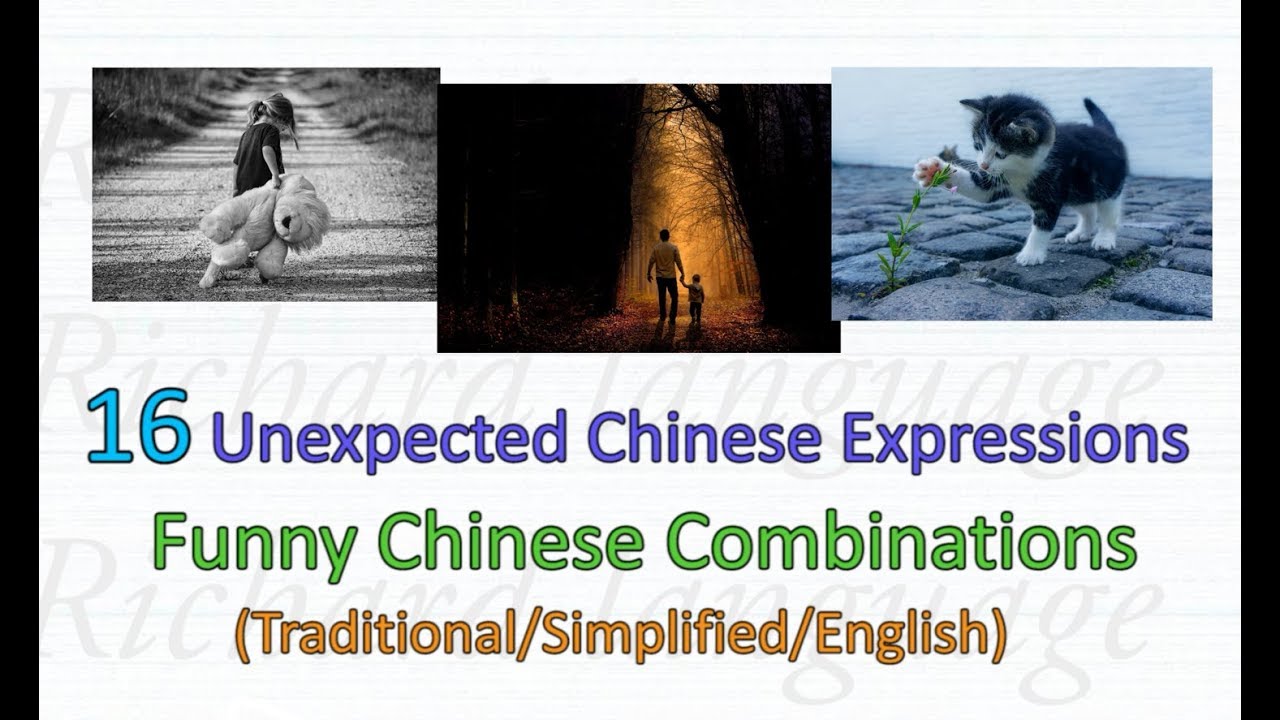 16 Funny and Unexpected Chinese Expressions and Combinations | 中文趣味词语组合 ...