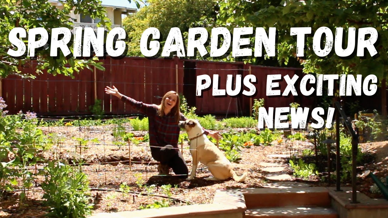 Spring Garden Tour and EXCITING NEWS - YouTube