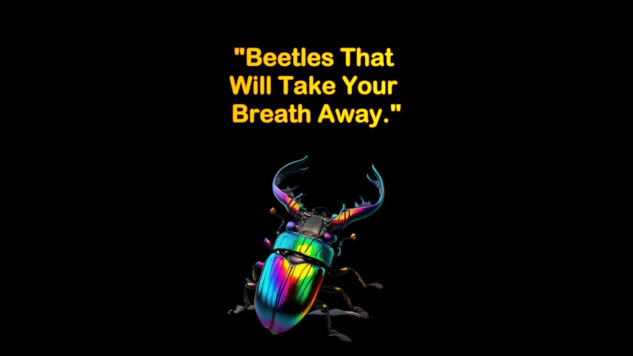 The 10 Most Beautiful Beetles in the World or Beetles That Will Take ...
