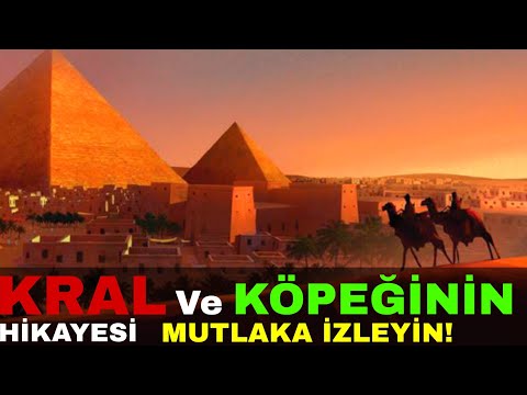 Bu Hikaye Size de Tanıdık Geldi Mi?|#kıssadanhisse