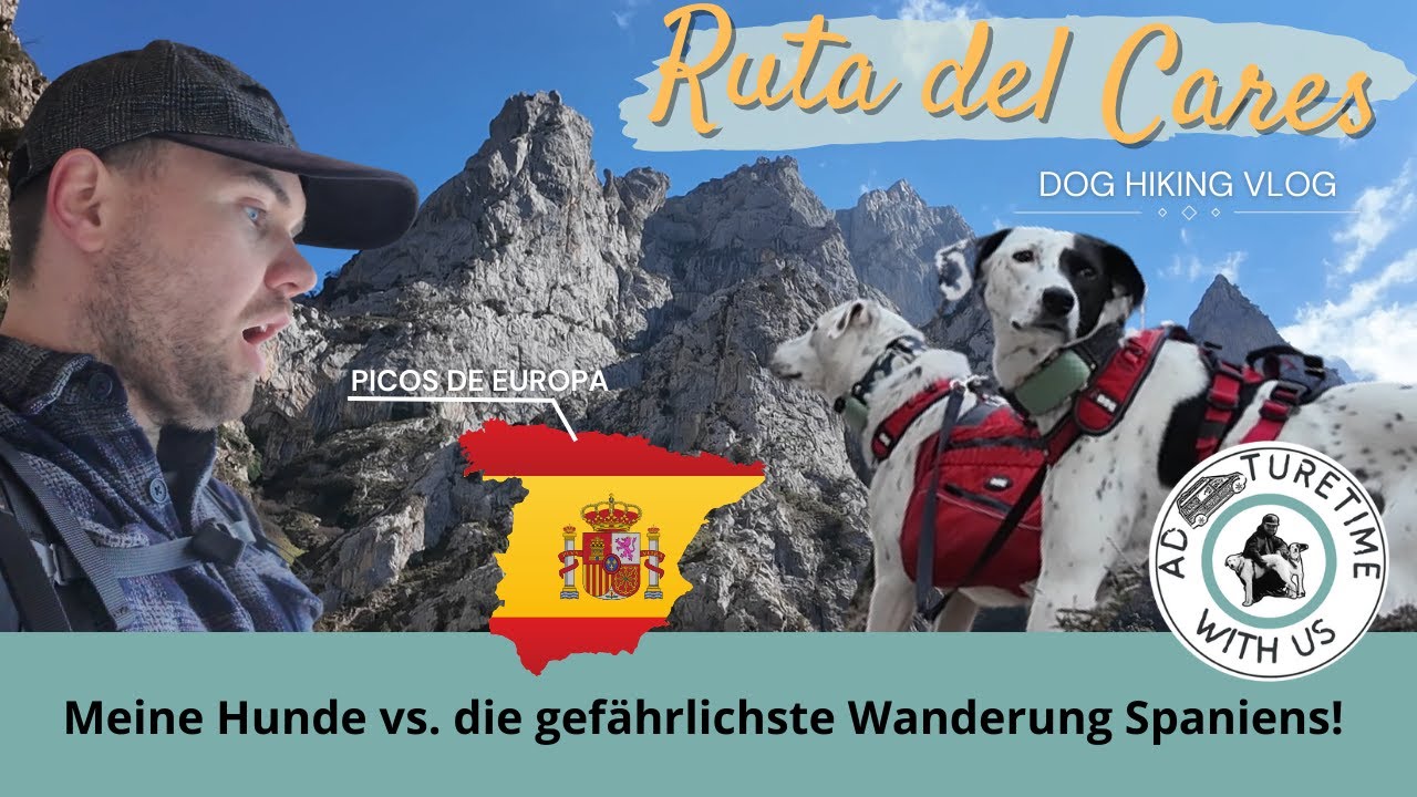 Epische Wanderung mit Mia & Maya –Ruta del Caín, Picos de Europa! #dog ...