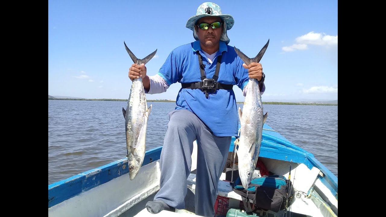 Kingfish morning pt. 2 (Kingfish mania) Jamaica 🇯🇲 - YouTube