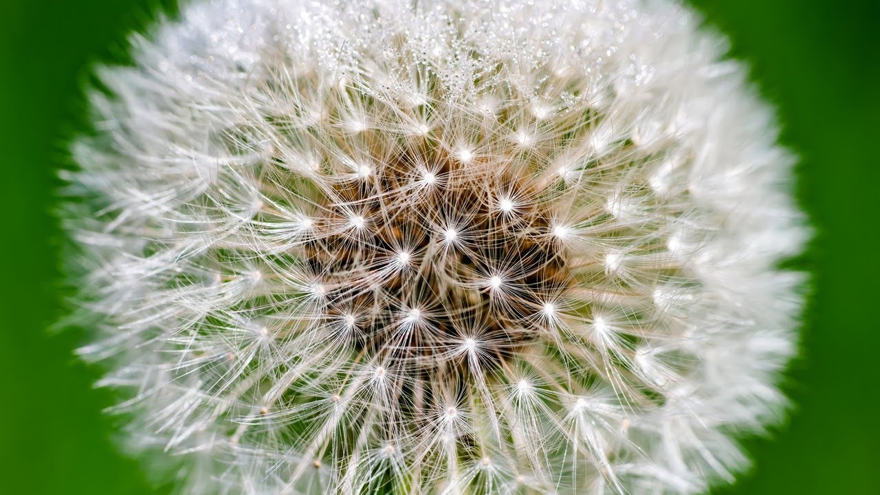 Slideshow. Nature and landscapes. For relaxation and meditation. Calm ...
