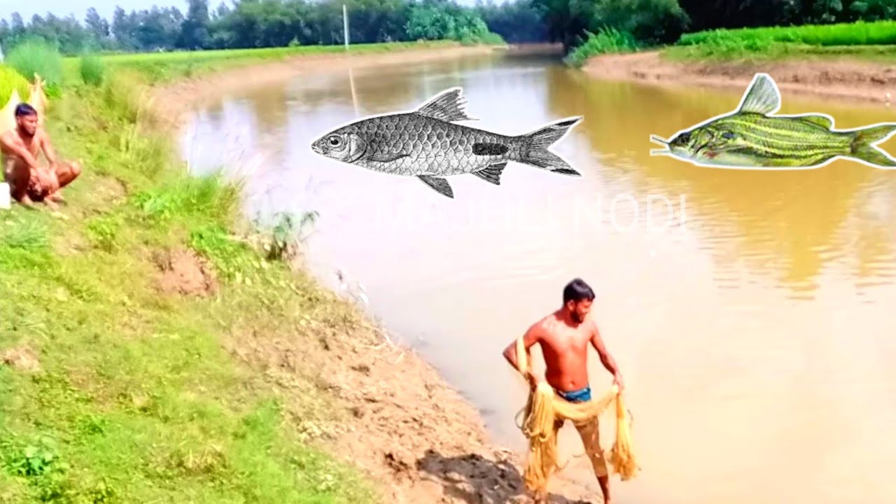 NET FISHING||VILLAGE BIG RIVER NET FISHING VIDEO||TRADITIONAL NET ...