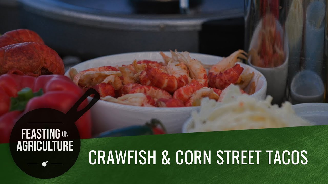 Feasting On Agriculture– Crawfish and Corn Street Tacos - YouTube