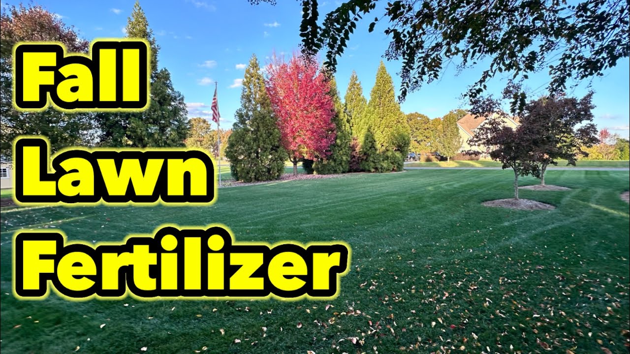 Fall Lawn Fertilizer GCI Turf 30-0-0 G - YouTube