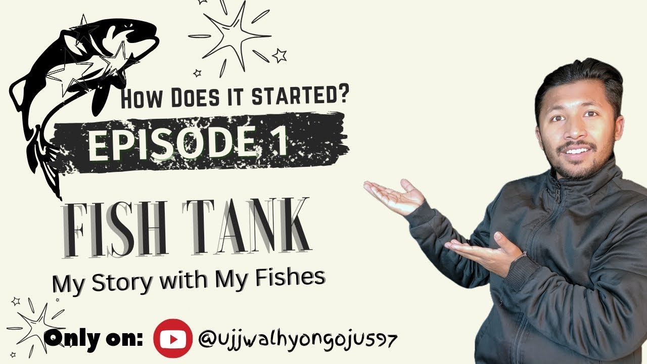 Fish Tank, My Story with my fishes. | Episode 1 | How did it start? # ...