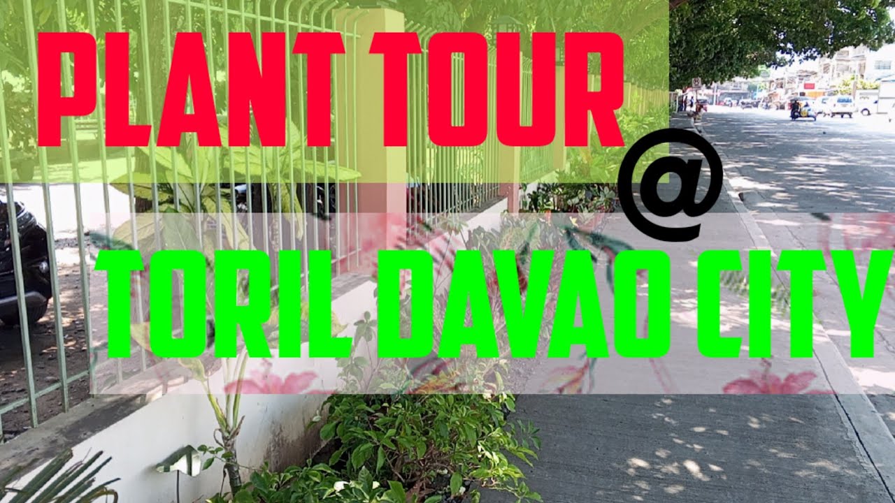 Toril Davao City Plant Shop Tour 2022 - YouTube
