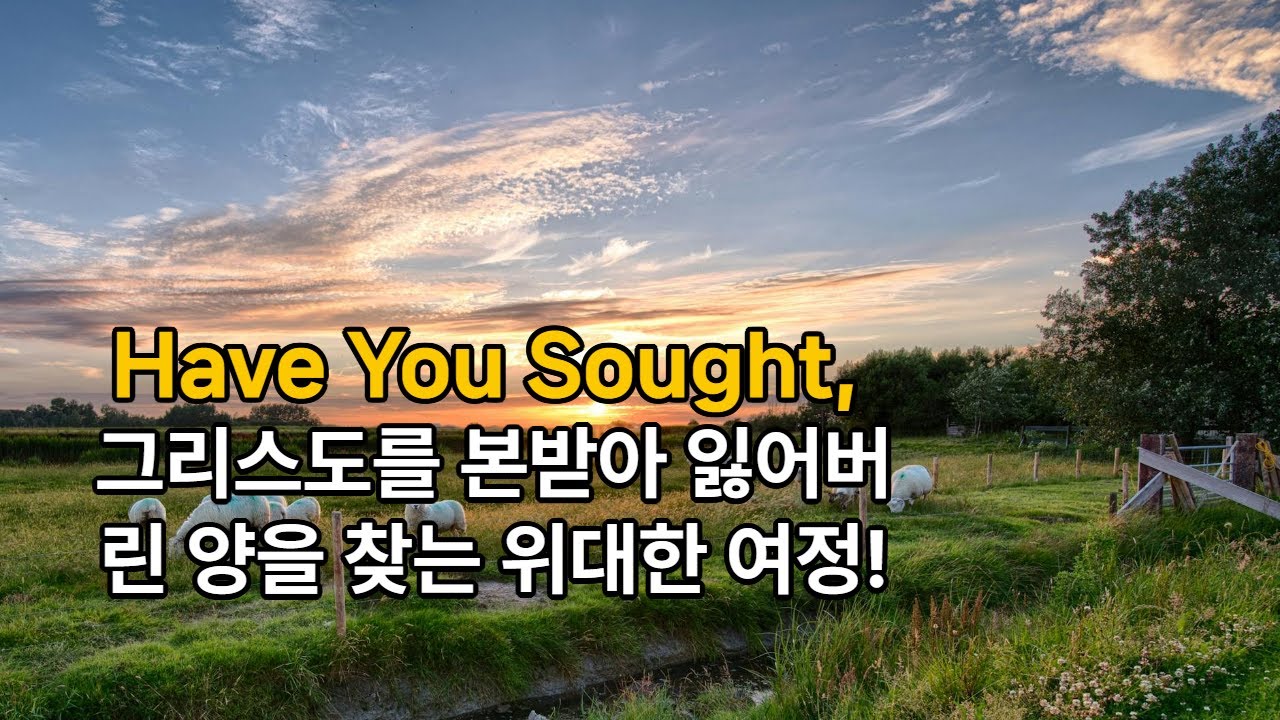 350, Have You Sought 3 | 그리스도를 본받아 잃어버린 양을 찾는 위대한 여정! - YouTube