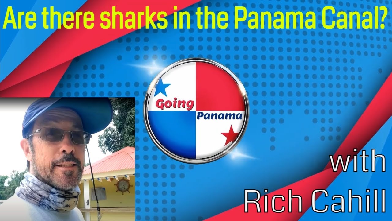 Are there sharks in the Panama Canal? - YouTube