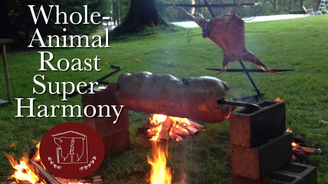 The Super Harmony of Whole-Animal Roasted Meat - YouTube