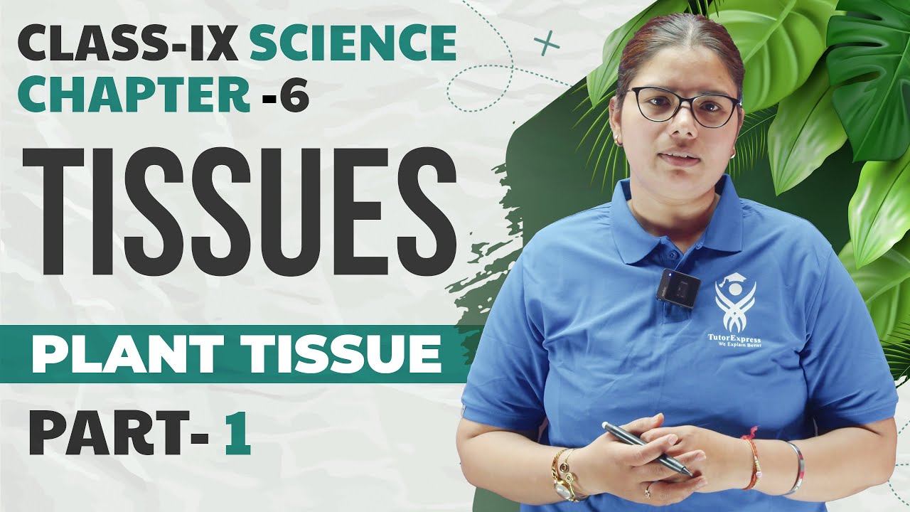 TISSUES: Chapter 6 Class IX Science | Part-1 | Plant Tissue - YouTube