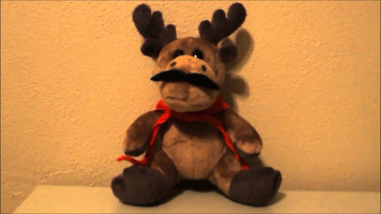 Mr. Moose International Moose of Mystery - YouTube