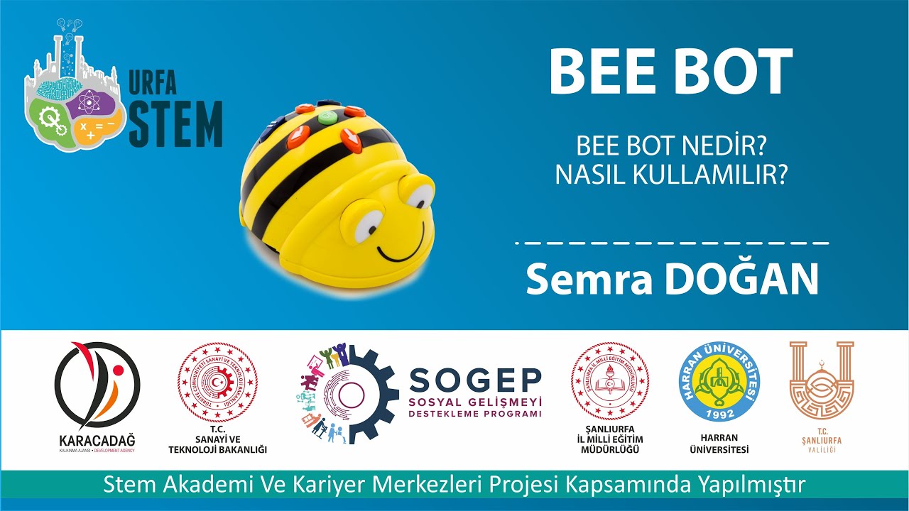 BEE BOT NEDİR? NASIL KULLANILIR? - YouTube
