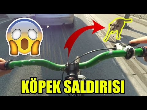 KÖPEK SALDIRISI - KÖPEKTEN KAÇIŞ 😡😡 - ÖLÜYODUK