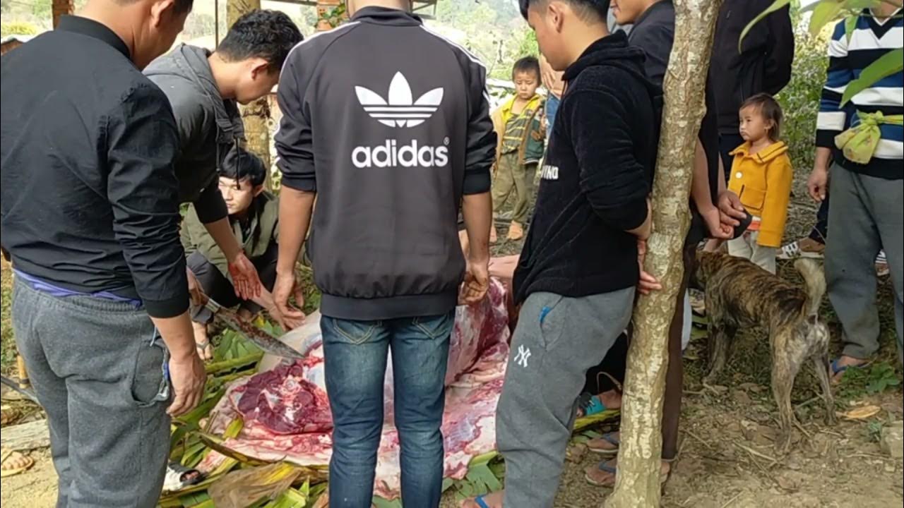 hnub no kuv tu muam thiab yawm yij peb ua plig rau kuv niam thiab kuv txiv nkawv nawb zoo siab ...