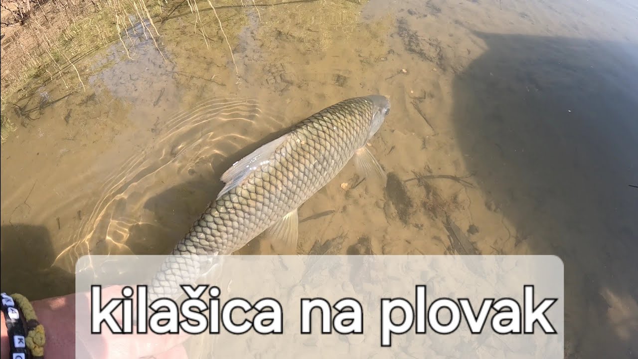 PLOVKARENJE NA RECI SAVI - YouTube