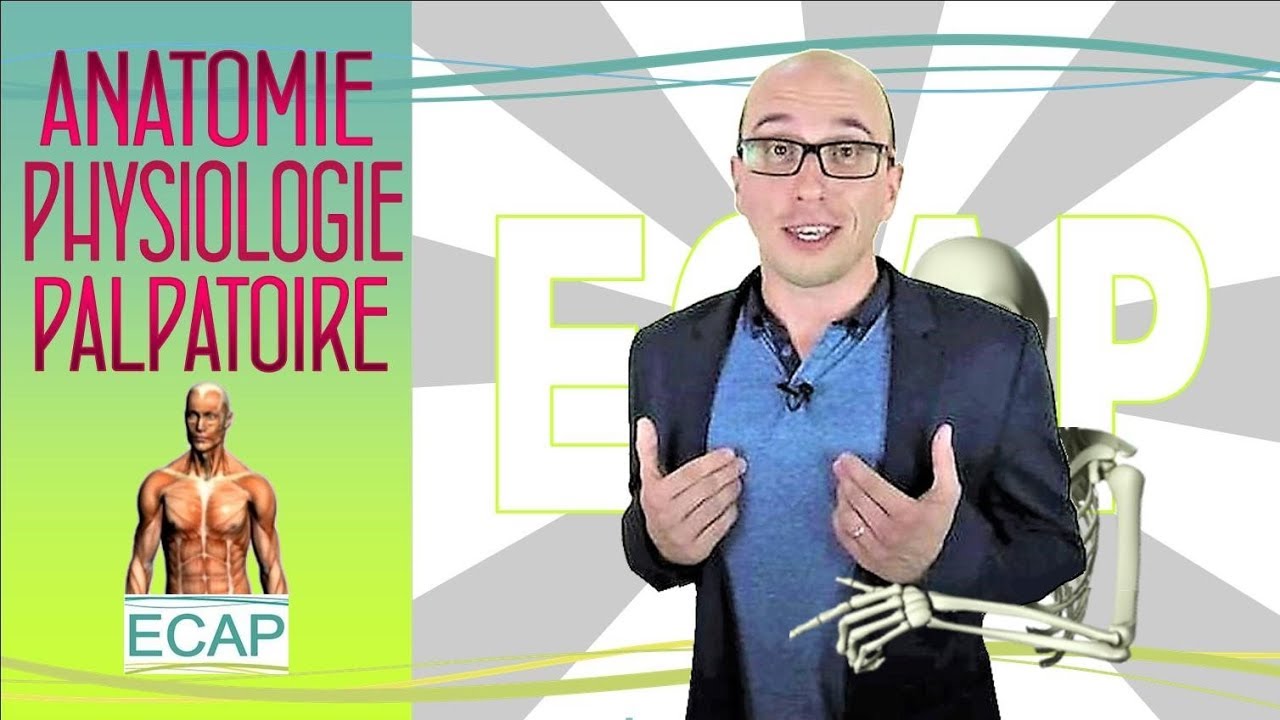Formation Anatomie Physiologie Palpatoire - ECAP de Nantes - YouTube