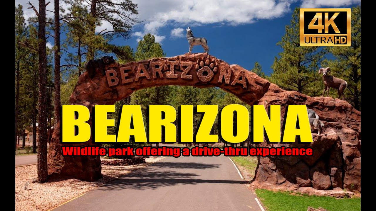 BEARIZONA WILDLIFE PARK | Wildlife park offering a drive-thru ...