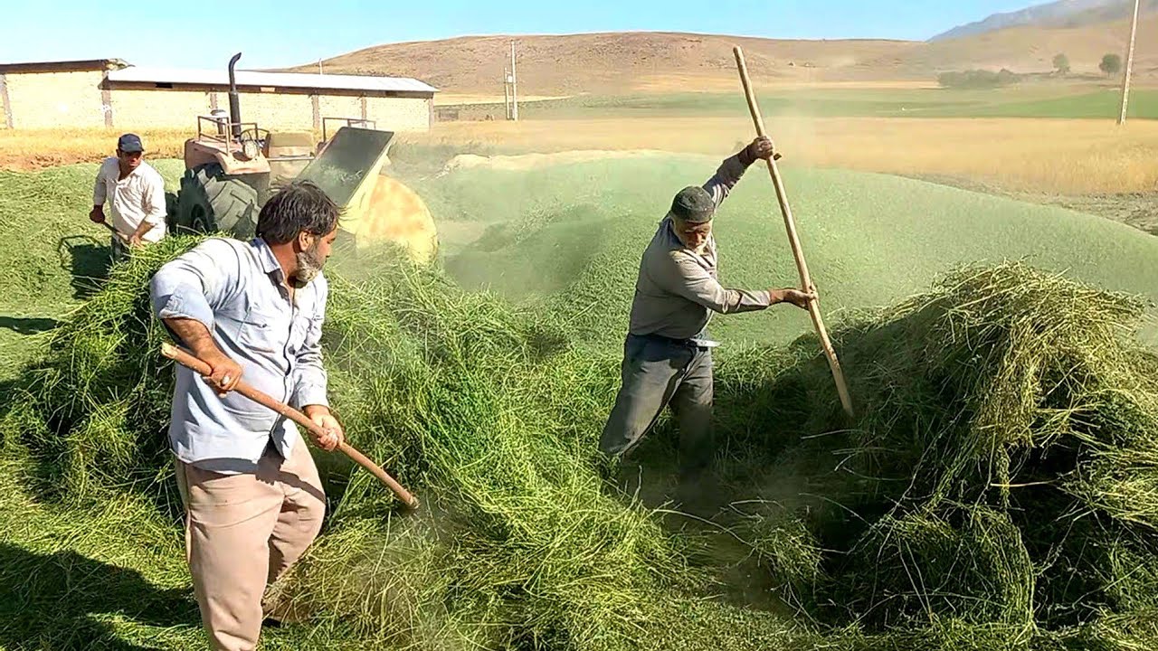 Iran nomadic Life/daily routine village life in Iran/nomadic Life style ...
