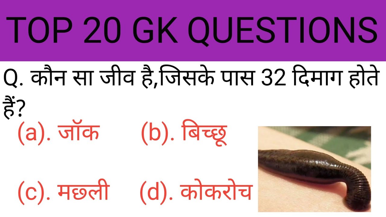 Top 20 gk questions#V.V.I question gk quiz in hindi#daily gk video ...