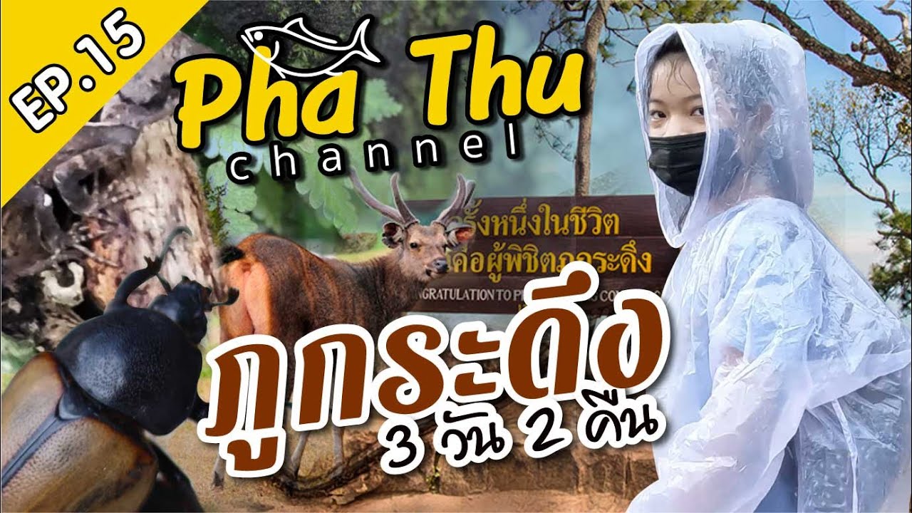 เที่ยวภูกระดึง 3 วัน 2 คืน ตะลุยสัตว์ป่า (Pha Thu EP15) - YouTube