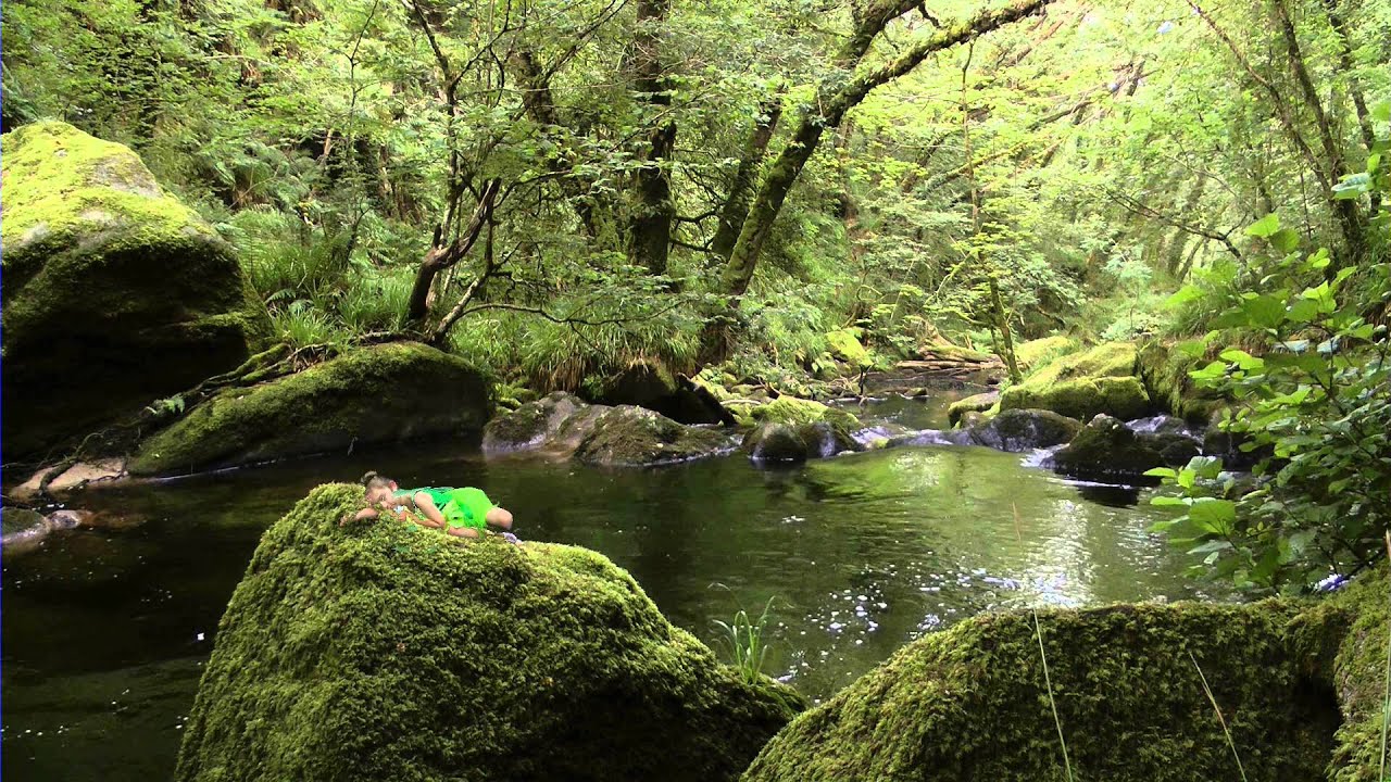 IN SEARCH OF CORNISH FAIRIES by Alan Kingwell - YouTube