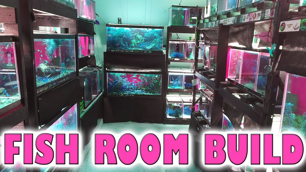DIY Fish Room Build From the Ground Up Part 3 - Central Air - YouTube