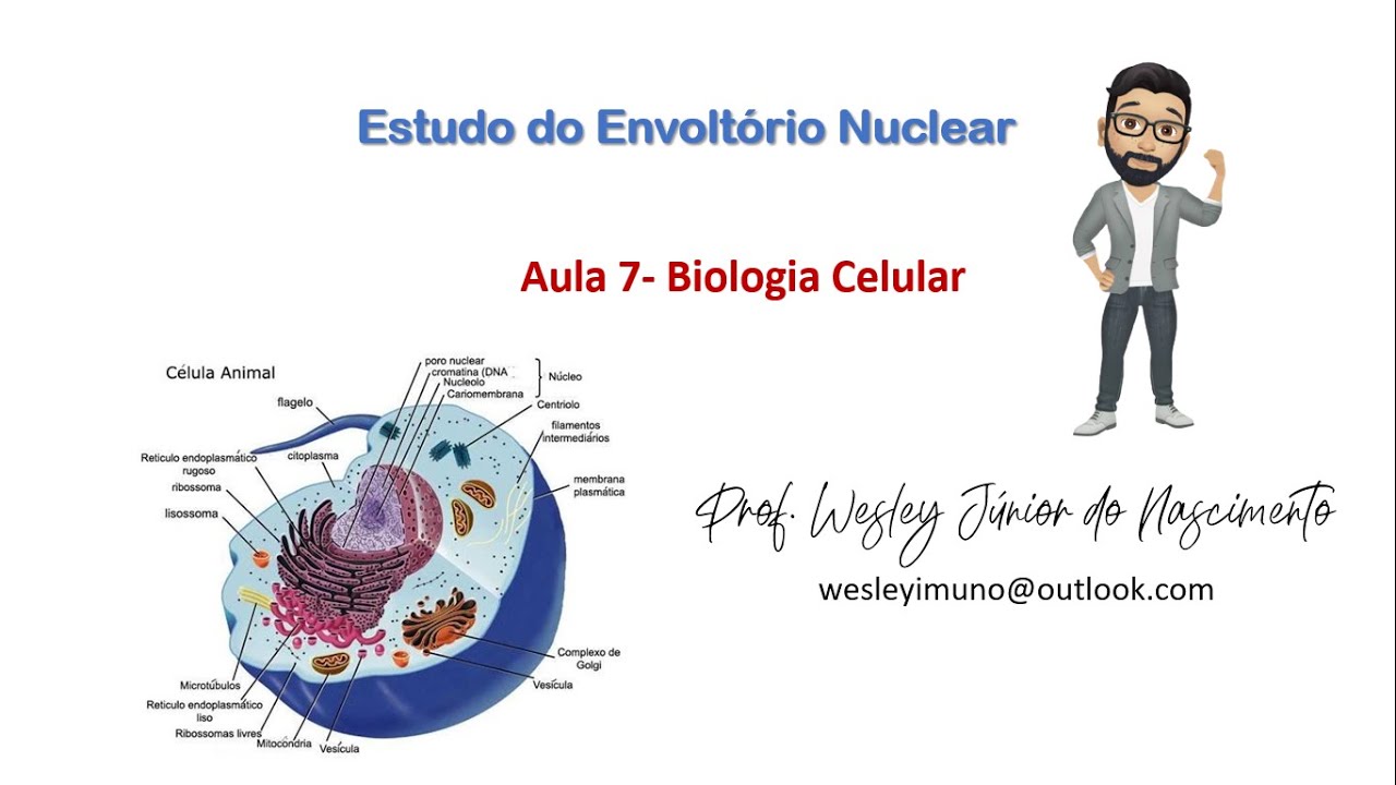 O Que é Envoltório Nuclear - FDPLEARN