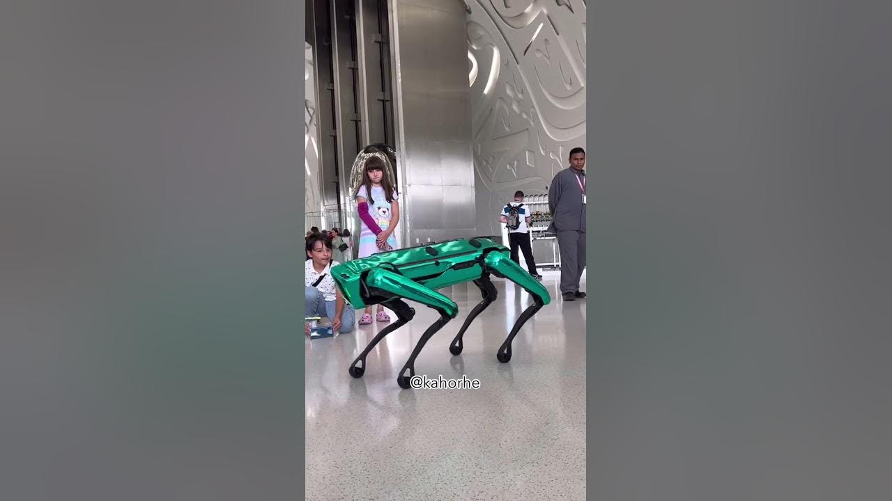 Hightech! A RoboDog Dancing in Dubai Museum - YouTube