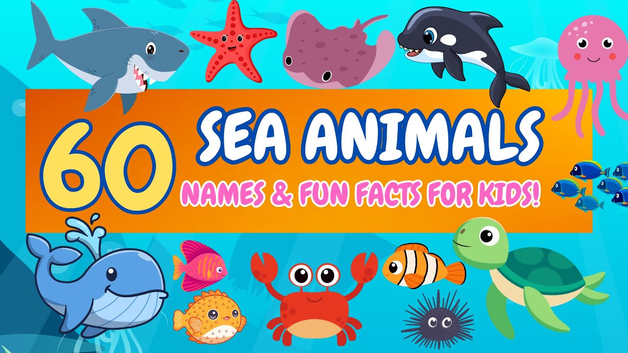 Meet 60 Sea Animals – Learn Names + Fun Facts the FUN Way ...