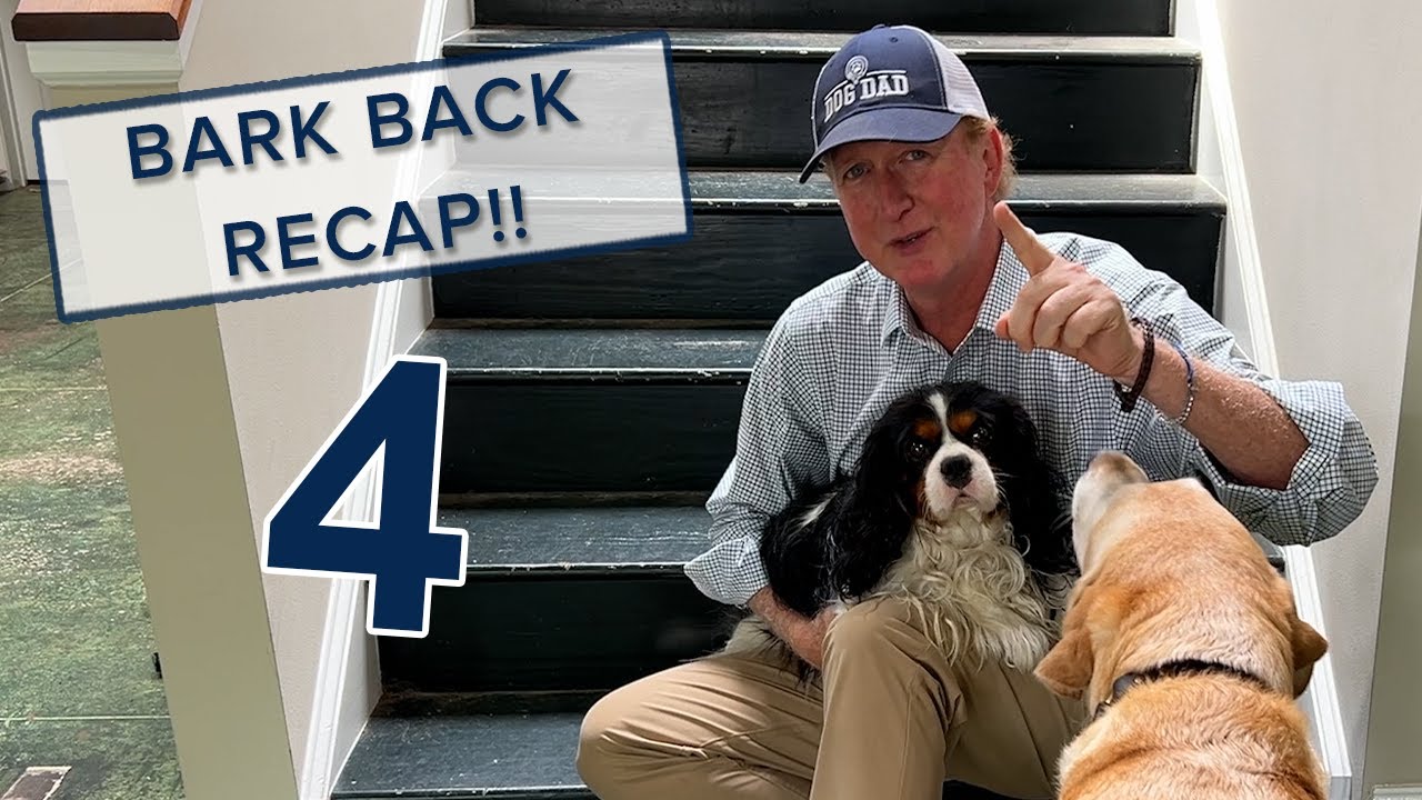 It's RECAP Time: WAG RECAP#4 - YouTube