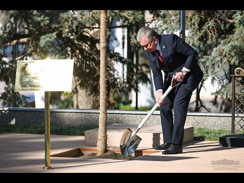 Turkiy davlatlar yetakchilari Samarqanddagi Registon maydoni yonidagi xiyobonda daraxt ekdilar