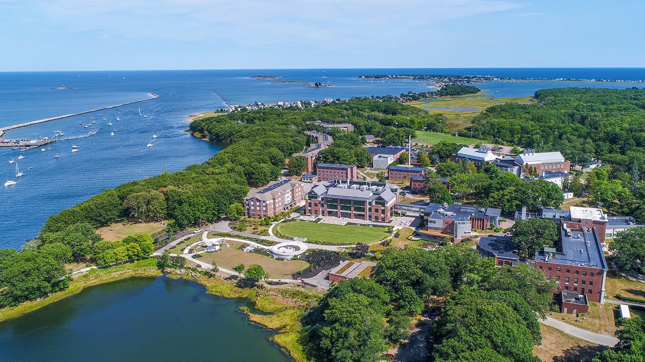 Discover UNE - YouTube