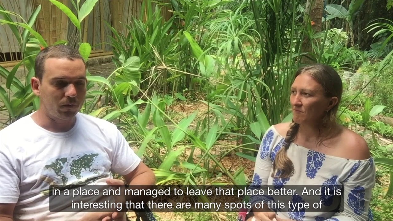 What is Syntropic Agroforestry with Namastê Messerschmidt (with English ...