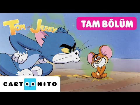 TOM VE JERRY #YENİ Çizgi Film | Korkunç Koku | @CartoonitoTurkiye