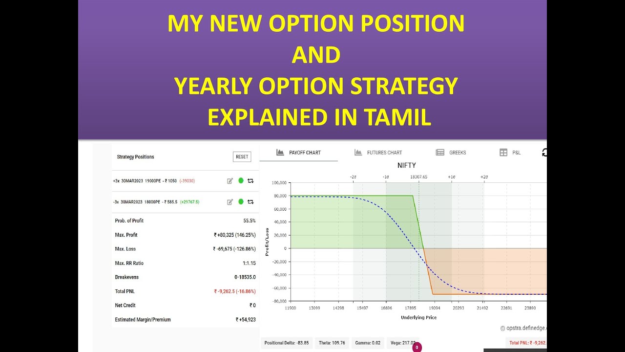MY NEW OPTION POSITION /YEARLY OPTION STRATEGY EXPLAINED - YouTube