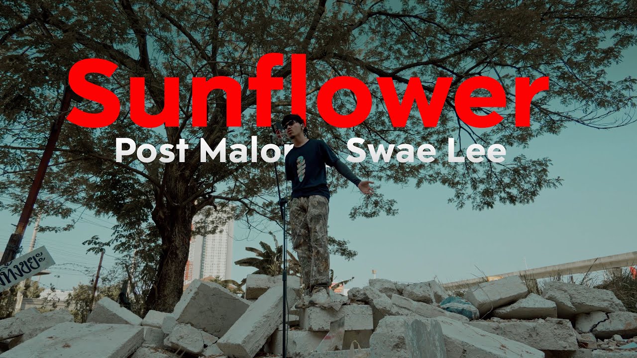 Post Malone, Swae Lee - Sunflower Cover by YAKOOH TONE - YouTube