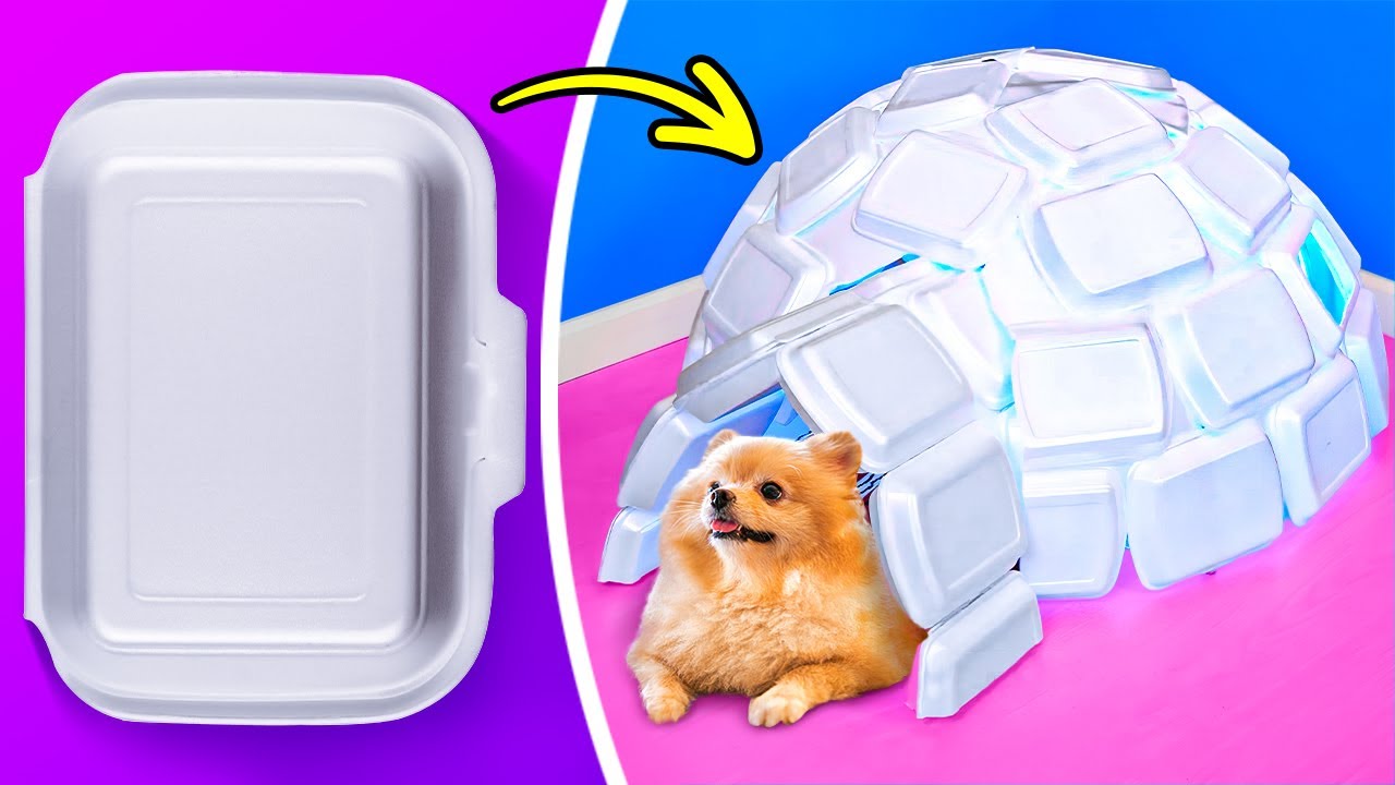 Cute And Useful Crafts For Pets, Pet Gadgets And Hacks For Smart Dog ...