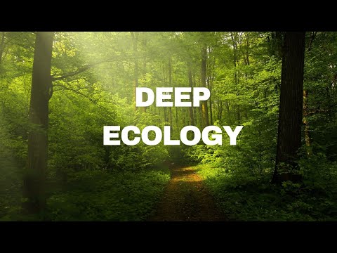 How Does Deep Ecology View Human Exceptionalism Sustainability