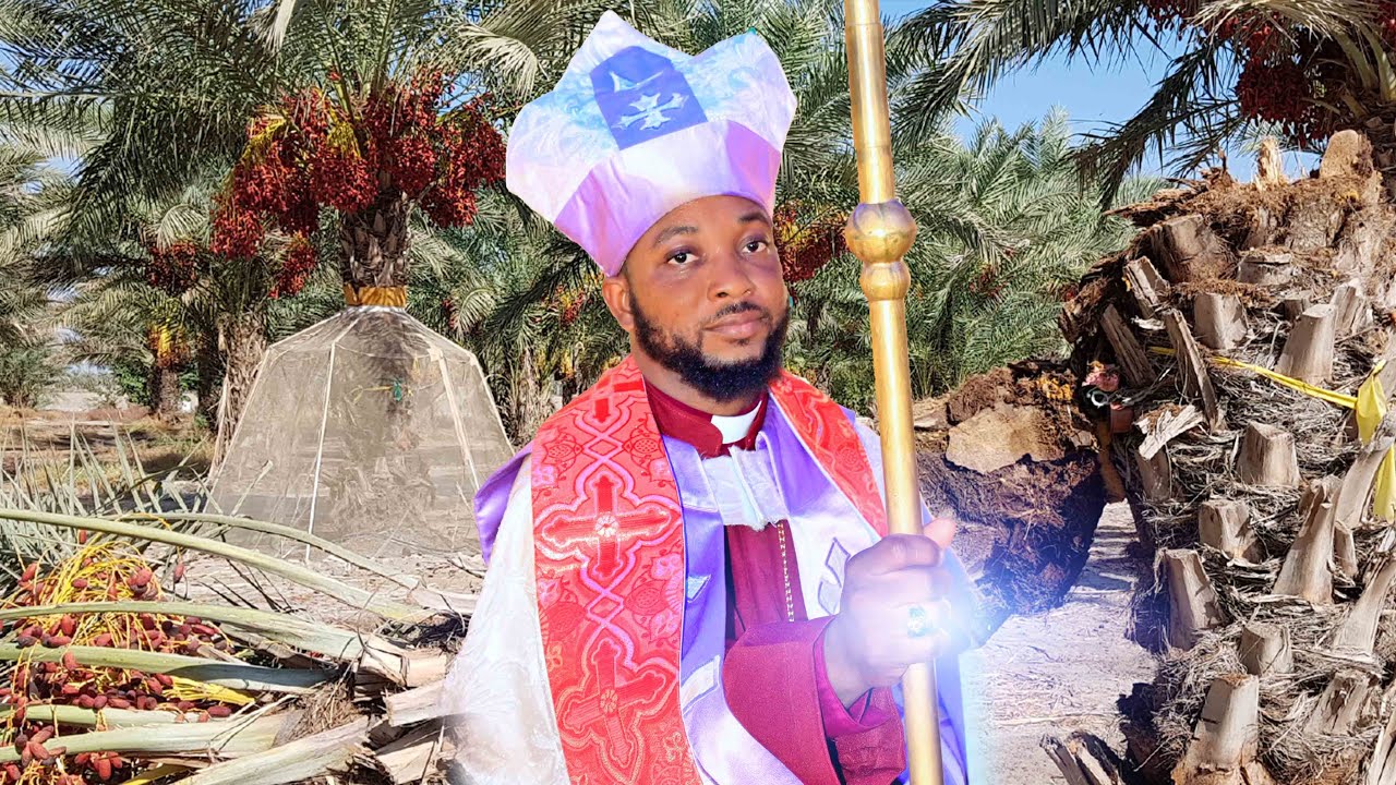 How To Deal With Your Court Case Spiritually Using The Palm Tree ...