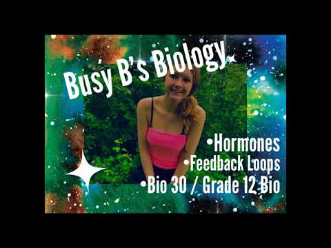 Hormones & Feedback Loops - Bio 30 - YouTube