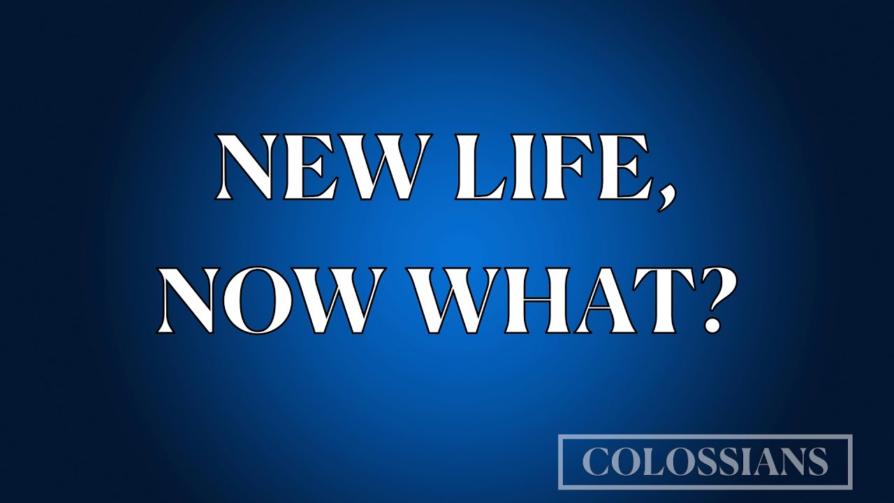 New Life, Now What? - YouTube
